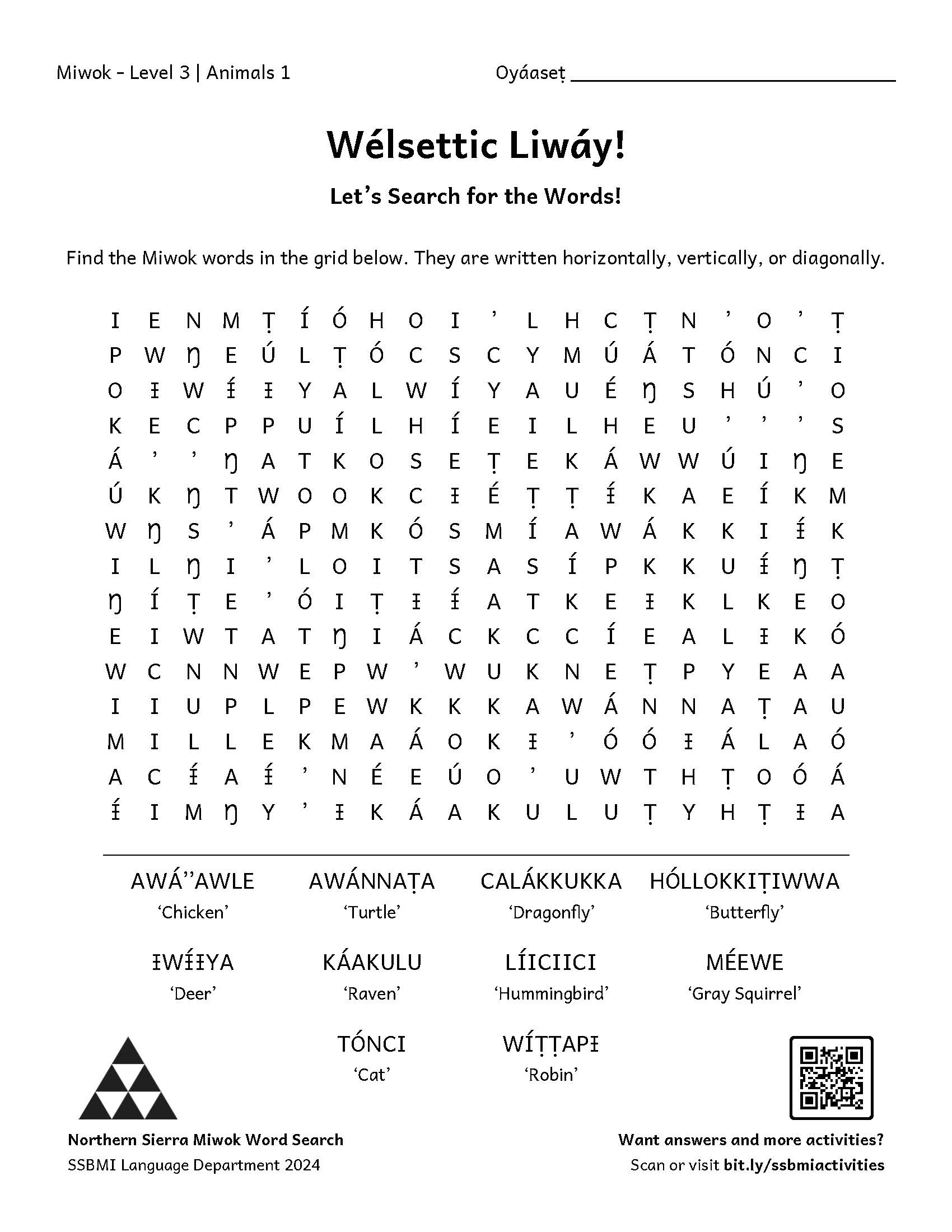 SSBMI Language Department - Activities - Word Searches